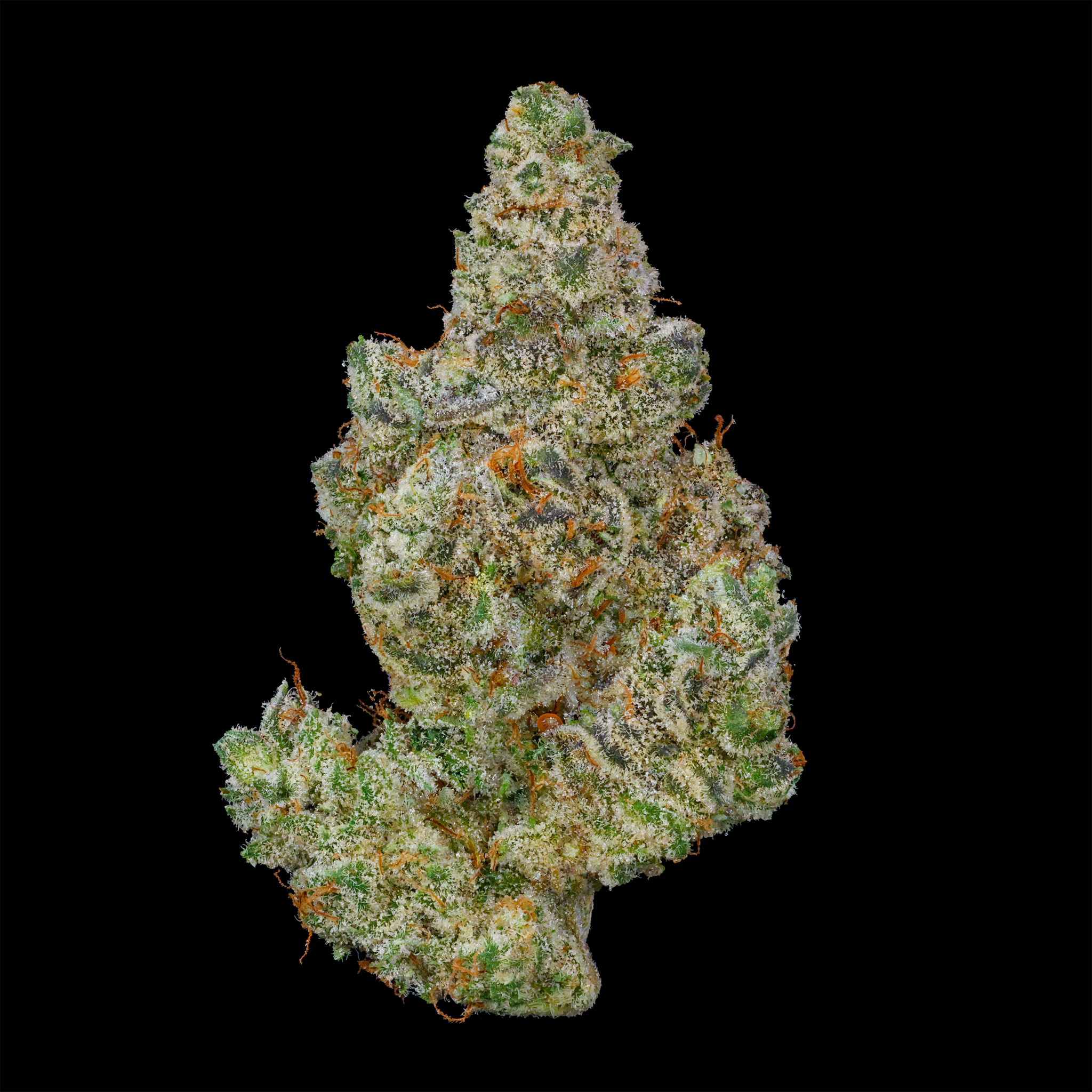Kookiekland - Bosky Genetics